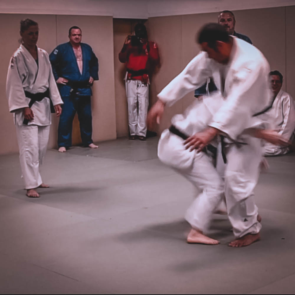 Cours de self défense à Paris (Vincennes) - Cercle Tissier